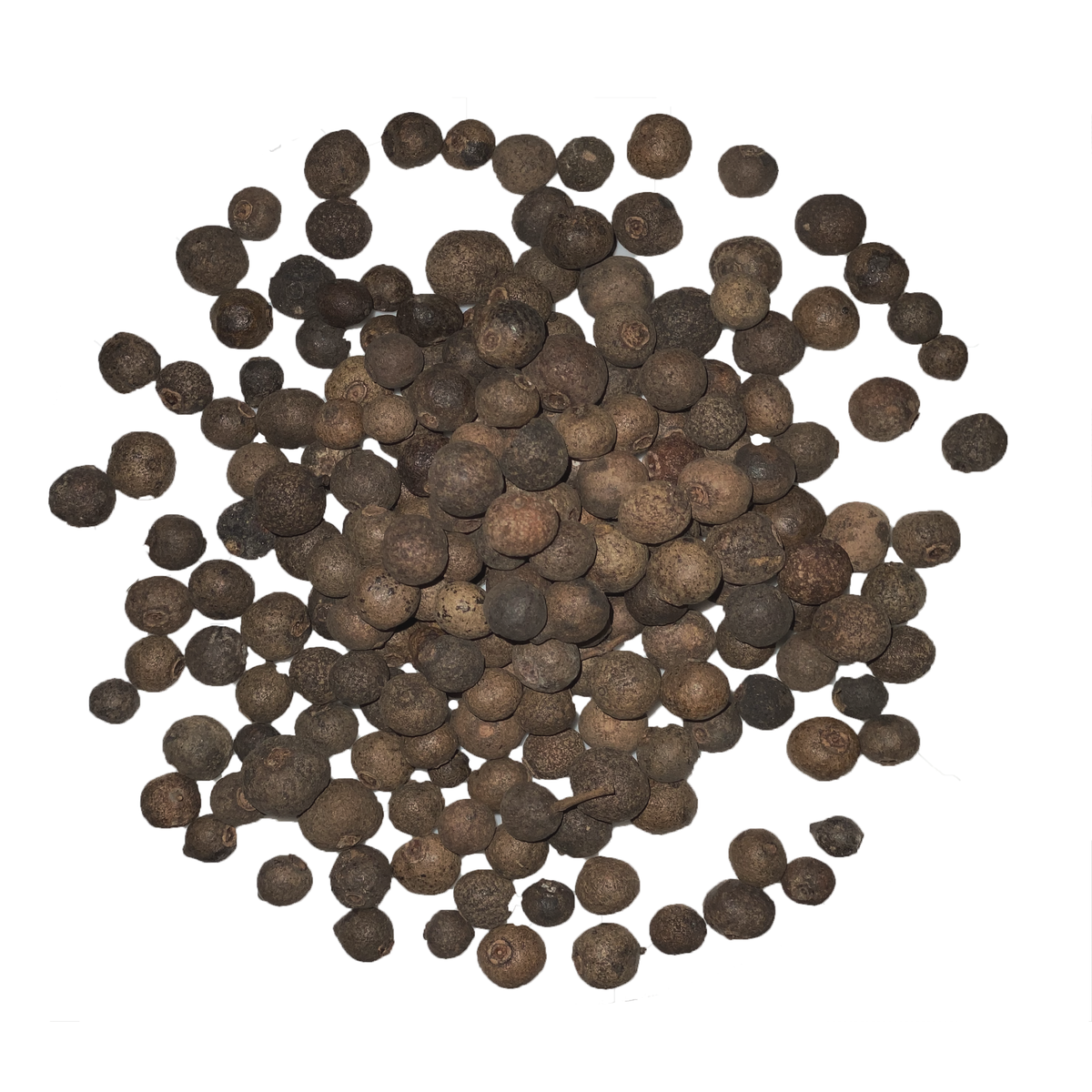 All Spice Berries Whole — Brew HQ