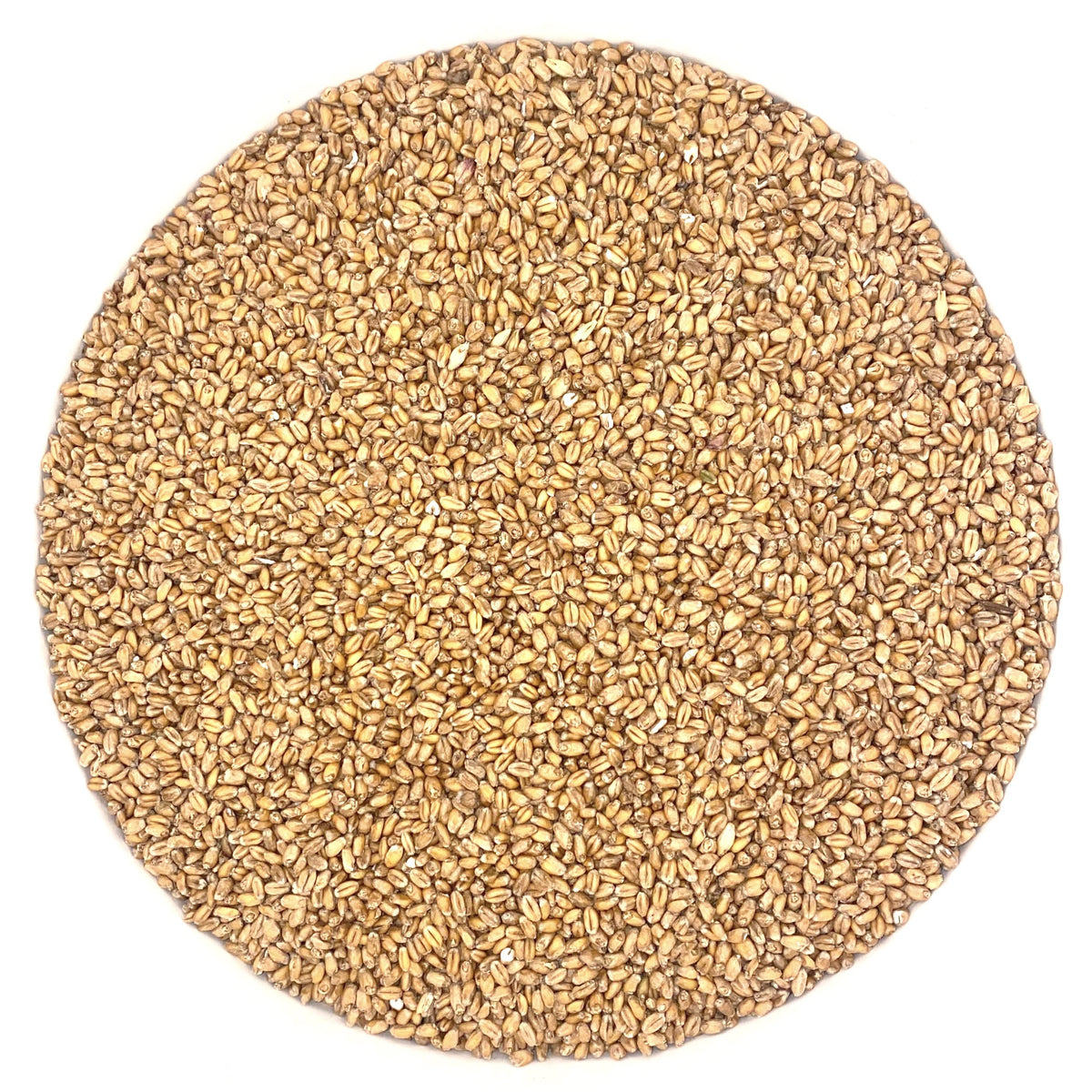 Weyermann Pale Wheat Malt — Brew HQ